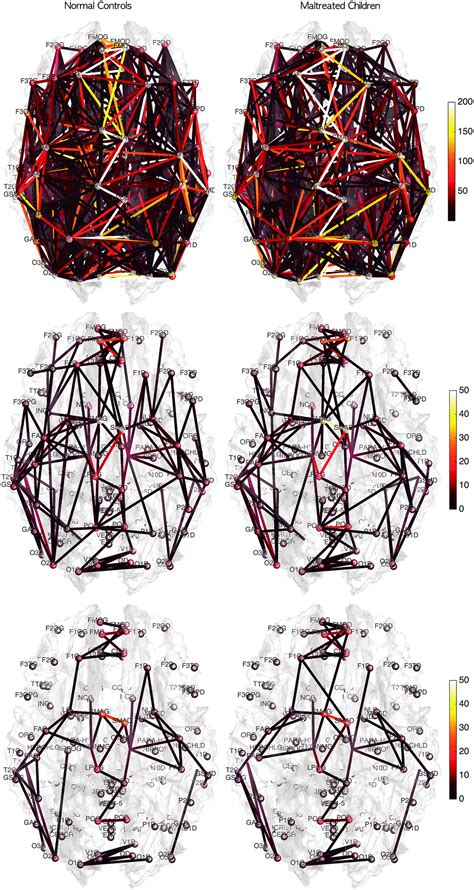 Integrative Structural Brain Network Analysis In Diffusion Tensor