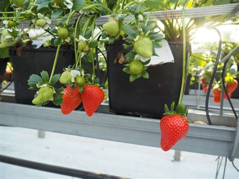 Test Object Detection Dataset By New Workspace Ryy3v