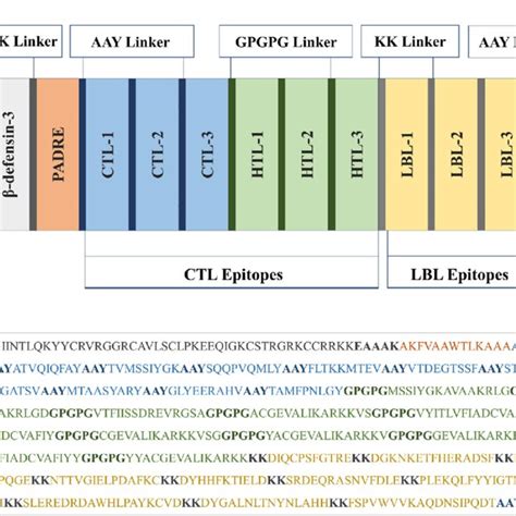 A And B Schematic Representation A And Sequence B Of The Possible Download Scientific