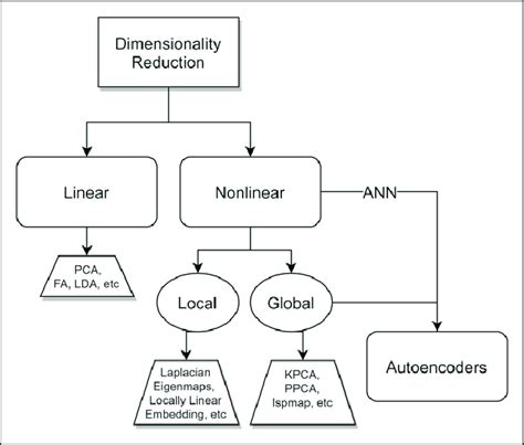 Categorization Of Dimensionality Reduction Models Download