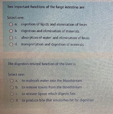 solved match each macromolecule with the enzyme that aids in