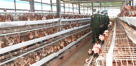 ဒေသတွင်းစိုက်ပျိုး၊ မွေးမြူရေးနှင့် ကုန်ထုတ်လုပ်မှုလုပ်ငန်းများ ရာနှုန်းပြည့် ဆောင်ရွက်နိုင