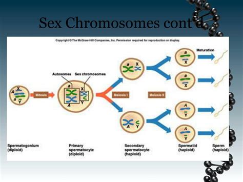 PPT Sex Linked Inheritance PowerPoint Presentation Free Download ID 4626073