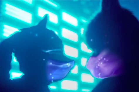 Premiere Galantis Strange And Sweet Runaway U And I Video Proves Theres Someone For Everyone