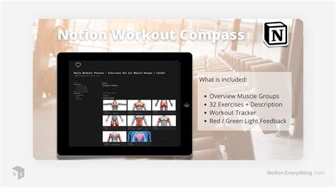 The Best Notion Workout Templates For 2023