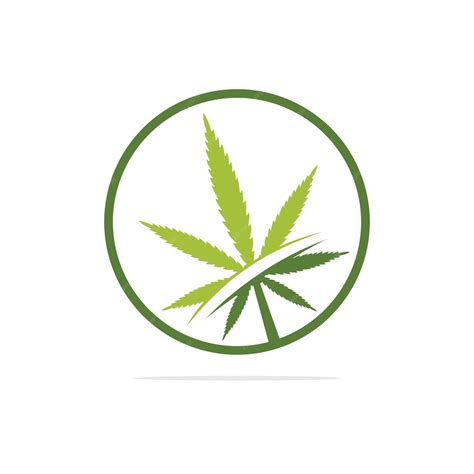 Premium Vector Cannabis Leaf Vector Logo Design