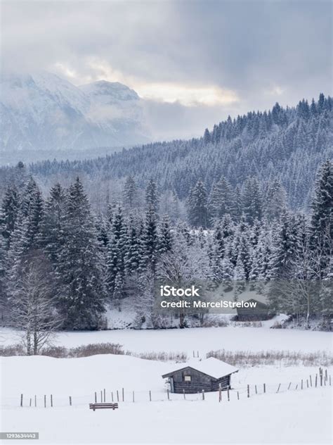 겨울의 수직 눈 덮인 나무 오두막 얼어 붙은 나무와 눈 덮인 산의 보기 0명에 대한 스톡 사진 및 기타 이미지 0명