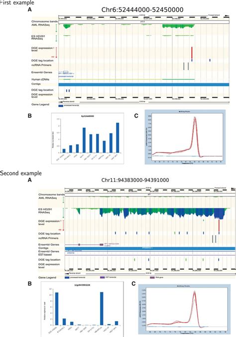 Examples Of New Non Annotated Transcripts A Display Of The Ensembl Download Scientific