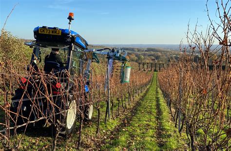 Pre Pruning To Save Time Vineyard Magazine
