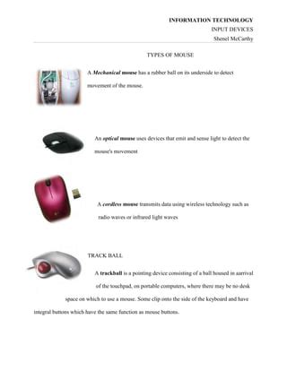 Input Devices DOCX Computer Peripherals Computing