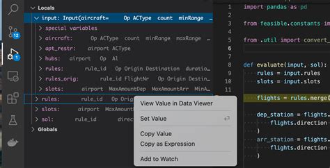 Debugger Does Not Show View Value In Data Viewer For Dataframe Member