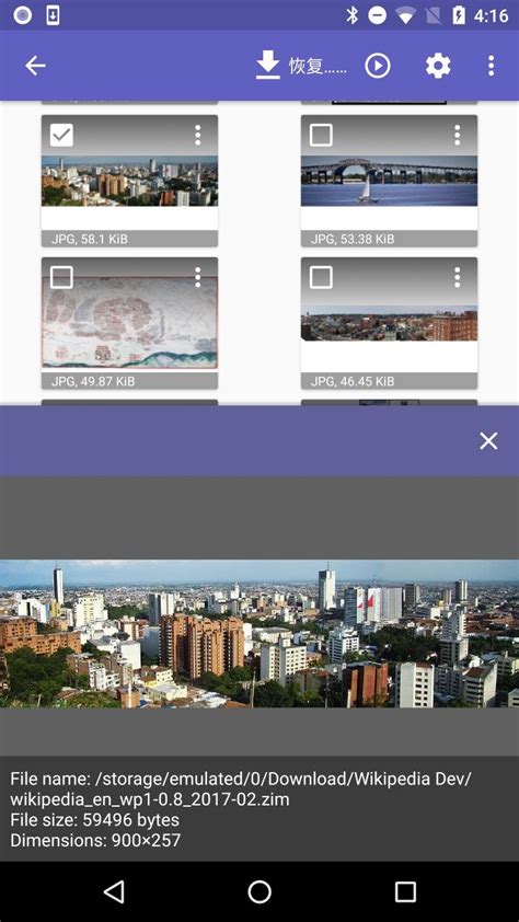 Diskdigger Pro汉化版破解版 Diskdigger Pro中文破解版 V2023 01 安卓版下载 当下软件园