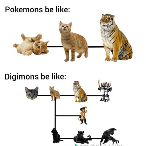 Pokémon Evolution Vs Digimon Evolution Digimon Know Your Meme