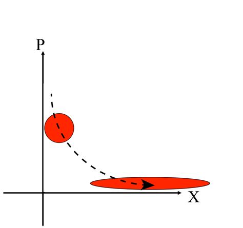 12 Amplification With A Phase Sensitive Amplifier Download Scientific Diagram