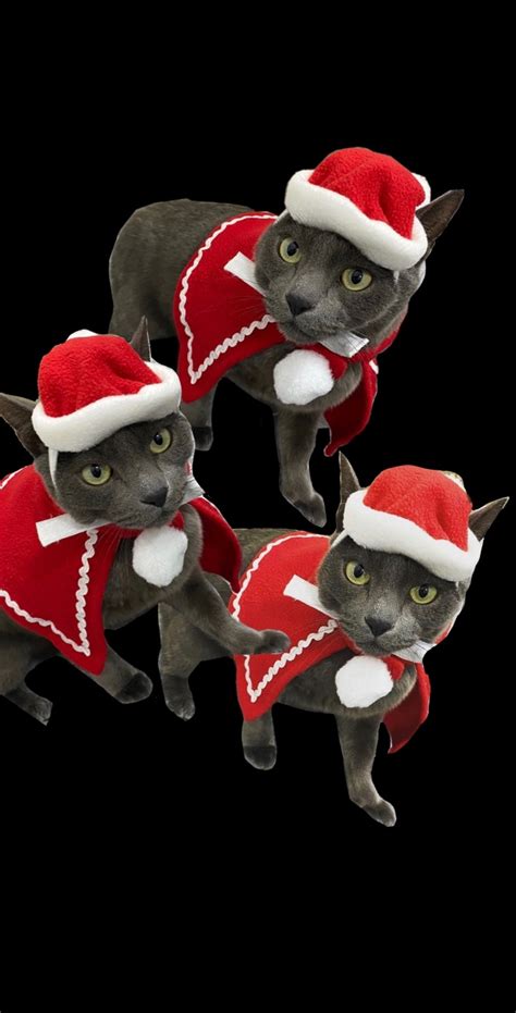 GitHub Hyeonjong Kim PIGraph Distributed Graph Processing System Using Ethernet IPoIB And RDMA