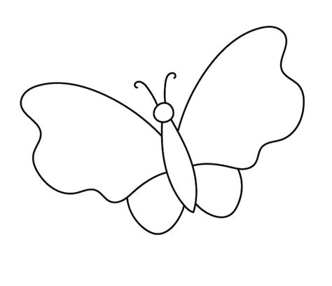 Premium Vector Butterfly Outline Icon Linear Style Sign For Mobile Concept And Web Design
