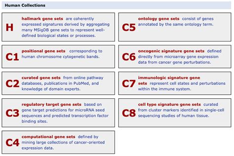 Gene Set Enrichment Analysis With R Btep Coding Club