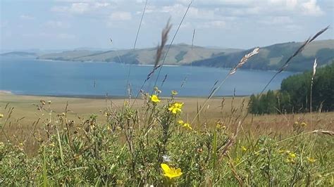 Цагаан уул сумын бөхчүүд бөх сонирхогчид