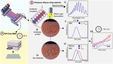 A 3d Printed Microfluidic Gradient Generator With Integrated Photonic