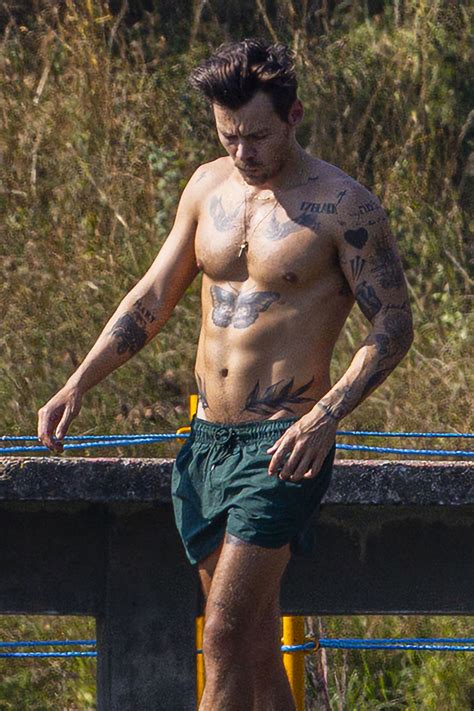 Harry Styles Shirtless Photoshoot