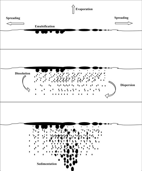 Oil Spill Occurrence Simulation And Behavior Introduction Oil Spill Occurrence Simulation