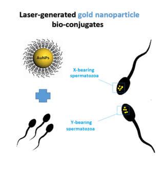 Schematic Representation Of Emergent Sex Sorting Technologies A Download Scientific Diagram