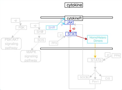 dynamical visualization of the pathway kinetics the grey regions of