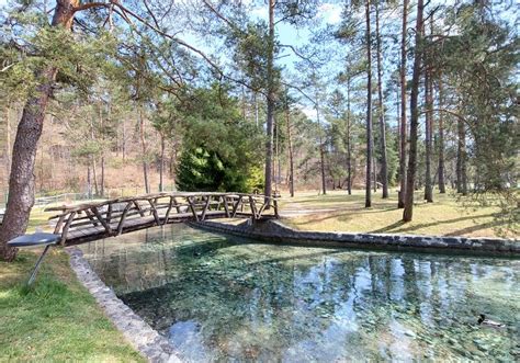 Alister Oconnor On Linkedin The Inspirational Mr Tom Borec