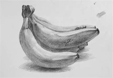 연필 드로잉 [정물] 렛츠드로우