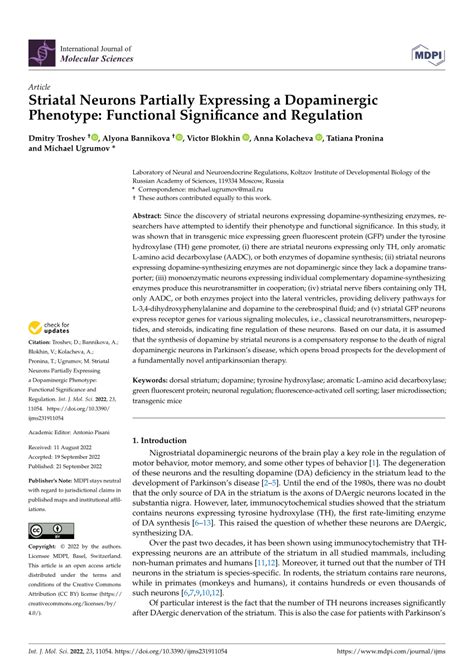 Pdf Striatal Neurons Partially Expressing A Dopaminergic Phenotype Functional Significance