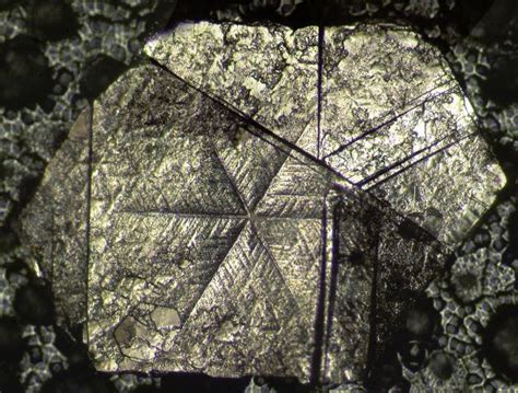 Graphite This Graphite Crystal Shows A Striking Dendritic Secondargy