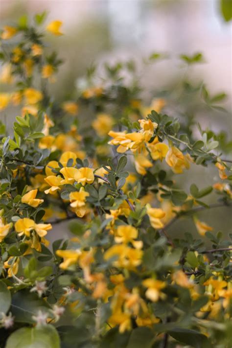 Последние майские дни и наступит лето