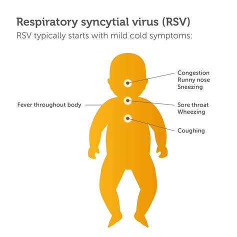 Respiratory Syncytial Virus Linked With Cardiovascular