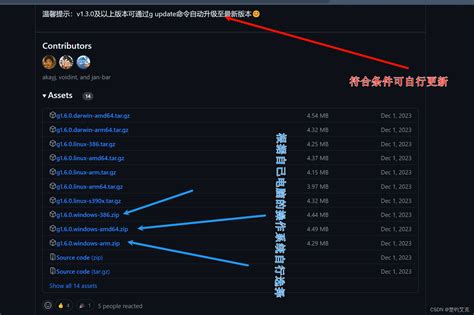 Go版本管理工具g的使用windows版本windows Go版本管理工具 Csdn博客 Go版本管理工具g的使用windows版本windows Go版本管理工具 Csdn博客
