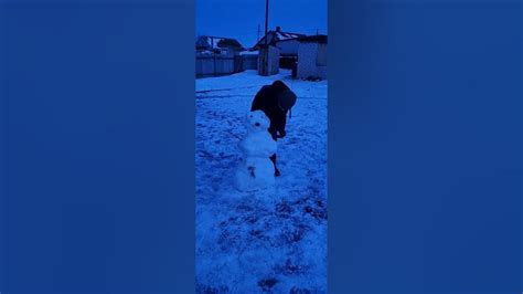 Весёлая фотосессия с белым медведем Youtube