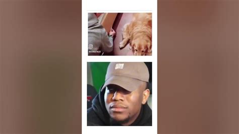 Wait To Te End 😂😂😂 Funnyvideo Funnyvideo Y Youtube