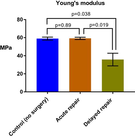 Youngs Modulus Of The Repaired Bone Tendon Junction At 12 Weeks Download Scientific Diagram