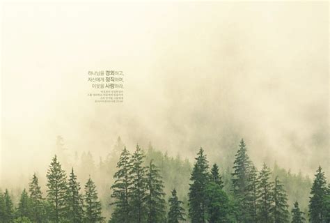 [크기변환]강단배경7 9 청산현수막