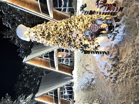 პარკ ჰოტელ სურამი შალე