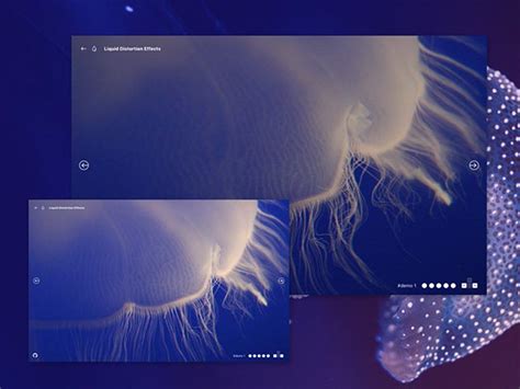 liquiddistortion featured