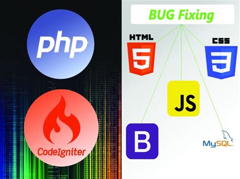 bugs and issue fixes on your codeigniter and php website upwork