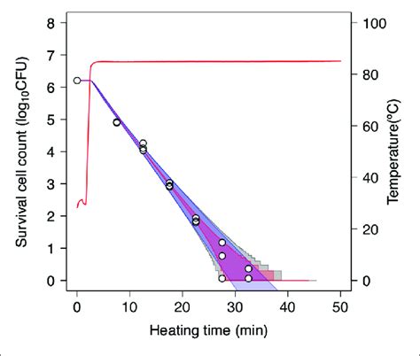 Comparison Of 99 Confidence Intervals Derived From Only Bootstrap Download Scientific