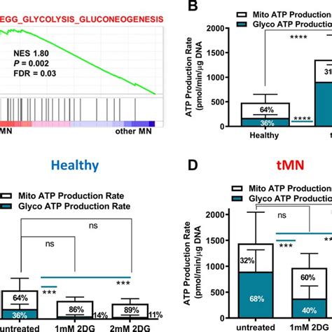 TMN BMSC Display Glycolytic Metabolic State A GSEA Example Of BMSC From Download Scientific
