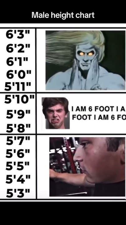 Male Height Chart Memereal Memes Youtube
