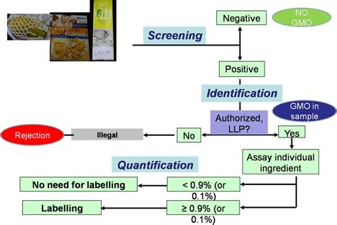 Methods Of Detection Of Genetically Modified Organisms At Natasha Cain Blog