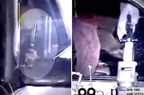 Sex Robots With Warm Skin In Intimate Areas Set To Hit Dating Scene And Could Even Benefit