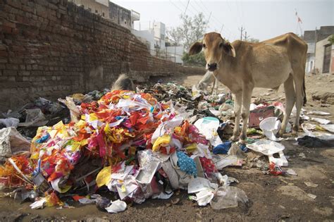 Yield Gap Decomposition Quantifying Factors Limiting Soybean Yield In