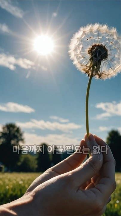 몸이 아플 때 마음까지 무너지지 않으려면 부처님의 말씀” 부처님말씀 명언 자기수행 불교쇼츠 동기부여 마음의쉼터