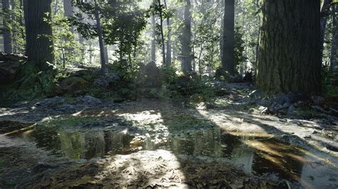 forest lighting r unrealengine