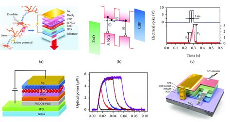 Demonstration Of Light Emitting Devices In Mimicking Potentiation Download Scientific Diagram